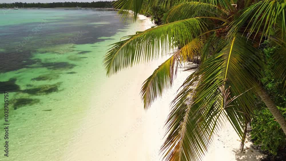 Aerial view of Caribbean beach background. Sunny tropical beach. Hot ...