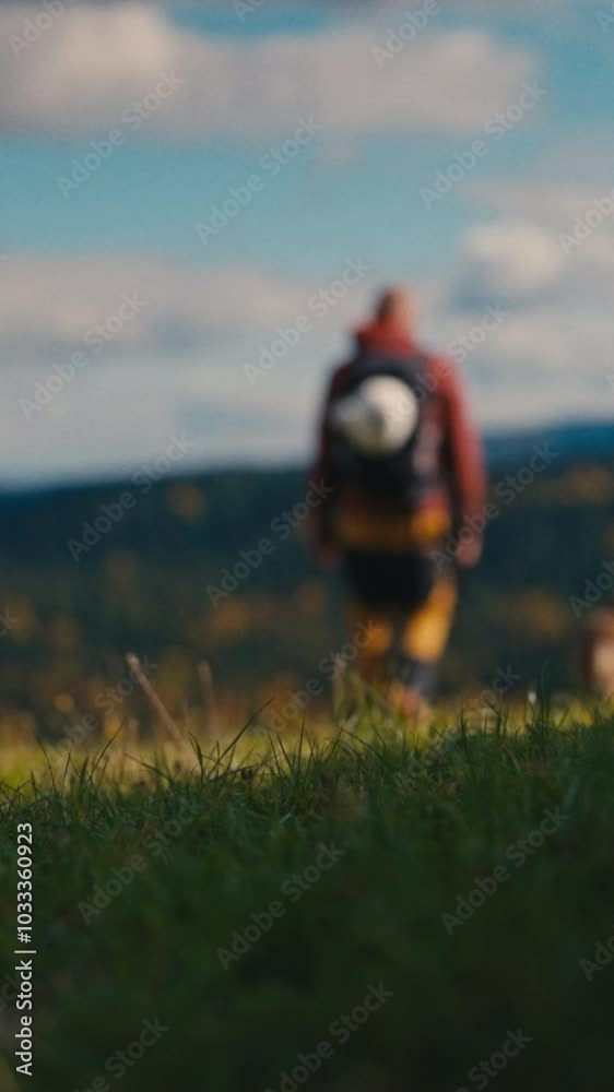 Vertical Screen: Man hiking on a mountain with a dog carrying trekking ...