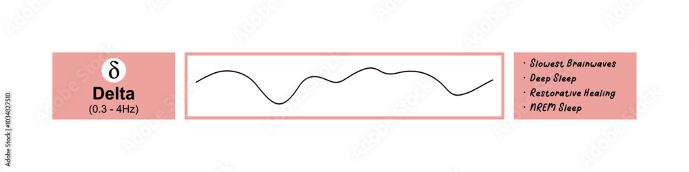 Delta waves - Brainwave activity graph, The impact on sleep and ...