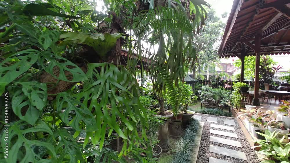 Traditional Joglo house with distinctive hanging lanterns, surrounded ...