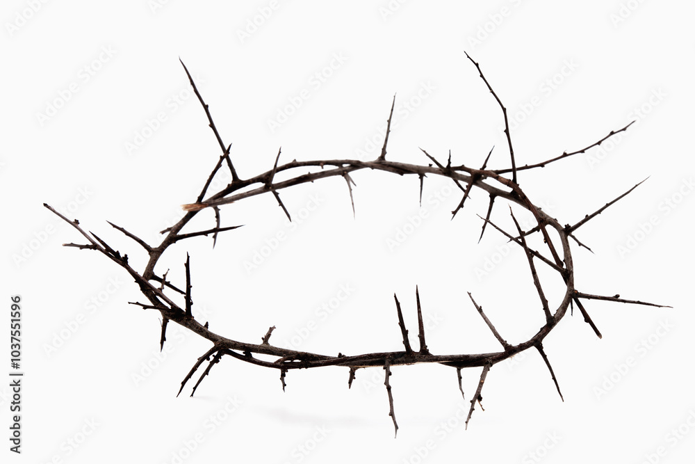 Thorn wreath as symbol of death and resurrection of Jesus Christ ...
