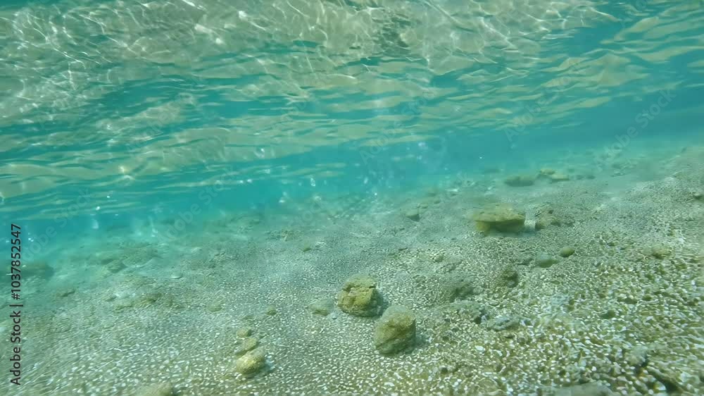 topdown view seabed revealing textures sea floor ripples created water ...