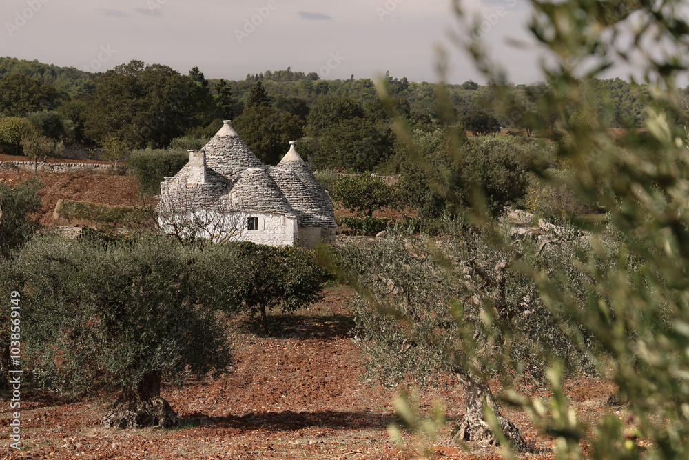 Rural southern Italian landscape with olive farm traditional Puglian ...