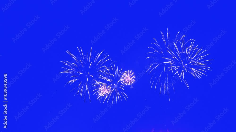 Abstract Real Firework on blue screen chroma key background, 4th of ...