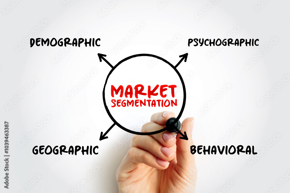 Market Segmentation creates subsets of a market based on demographics ...