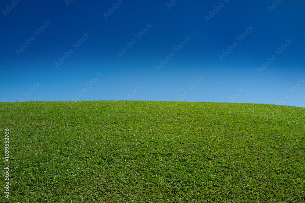 Landscape of green grass field. Blue sky and clouds background. Green ...