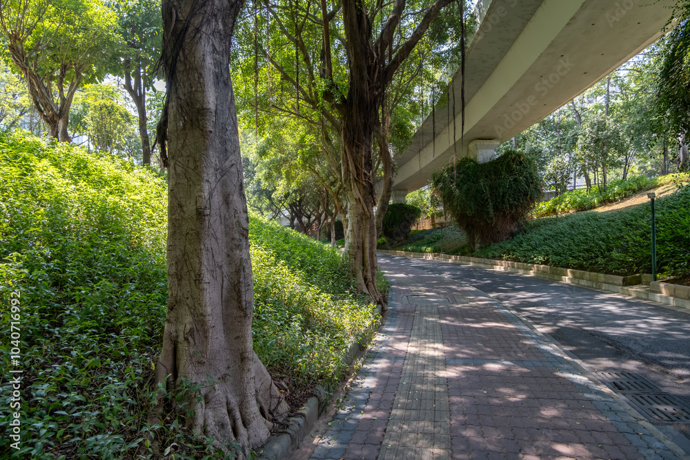 Mature trees with thick trunks create natural shade and frame the ...