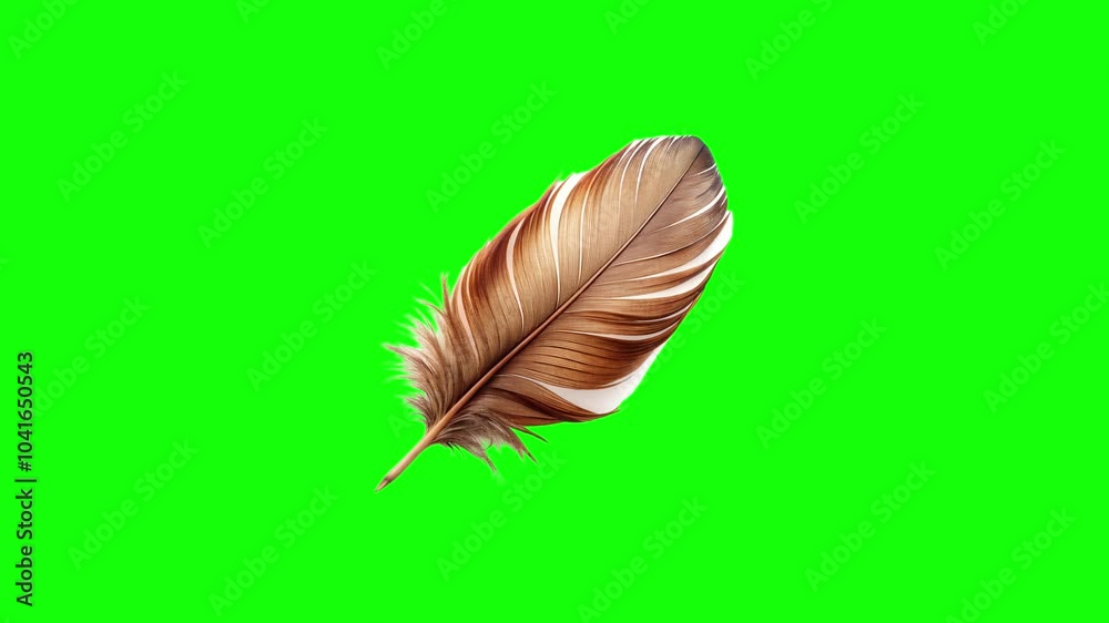 Feather green screen animation motion graphic with chroma key clip ...