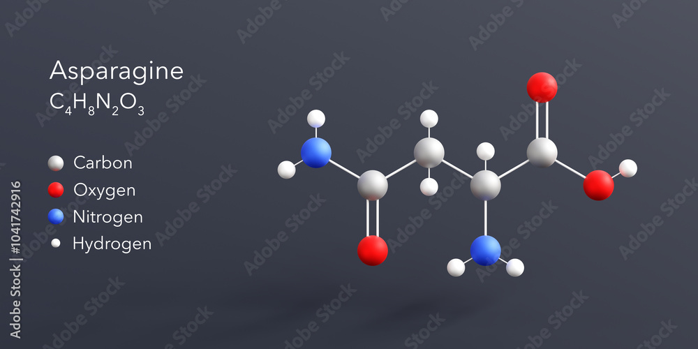 asparagine molecule 3d rendering, flat molecular structure with ...