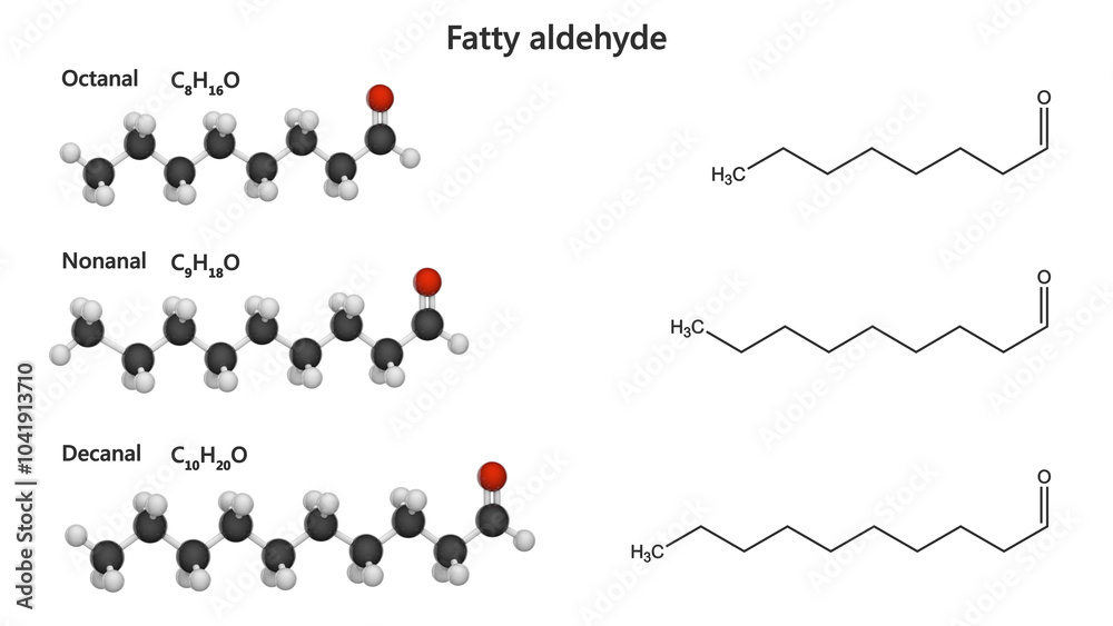Fatty Aldehydes Are A Class Of Organic Compounds Characterized By A