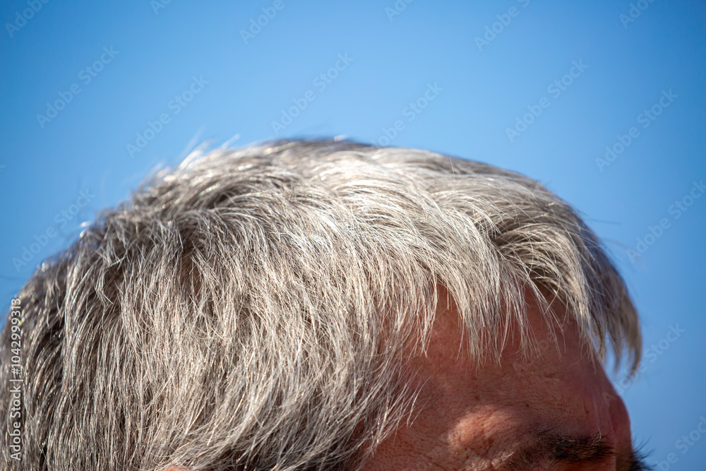 Gray hair on a man, back and side view, close up. Graying man with ...