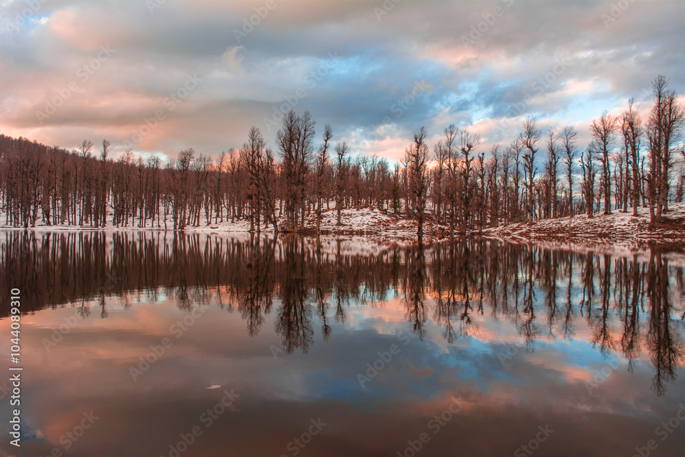 Snow and winter for the Arabs, snowfall in Jijel state, Algeria, the ...