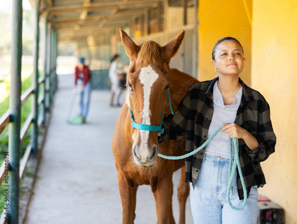 Positive Asian female owner of horse takes animal out of stall, holds ...