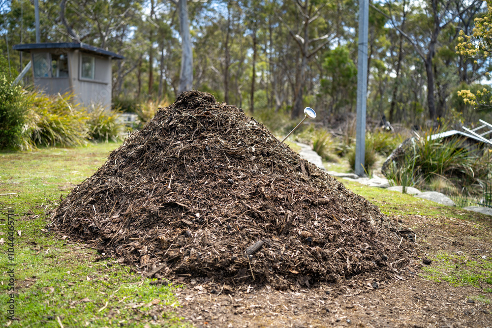 turning a compost pile in a community garden. compost full of ...