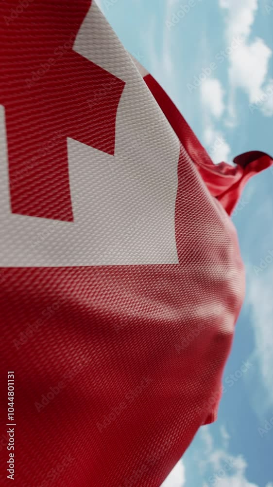Wavy flag of Tonga blowing in the wind in slow motion. Waving official ...