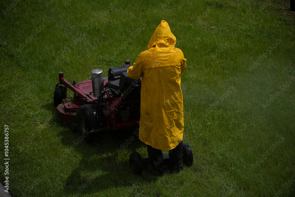 Mowing lawn. Cut grass. Before and after. Lawn equipment. Grass ...