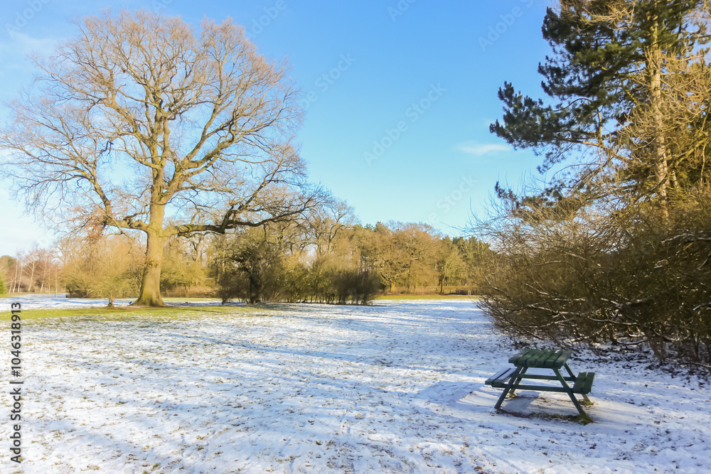 Winter scene in a park in the UK, a frosty snowy start with blue skies ...