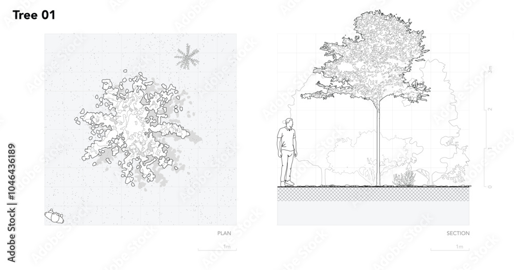 Architectural Drawings, Minimal style cad tree line drawing, Side view ...