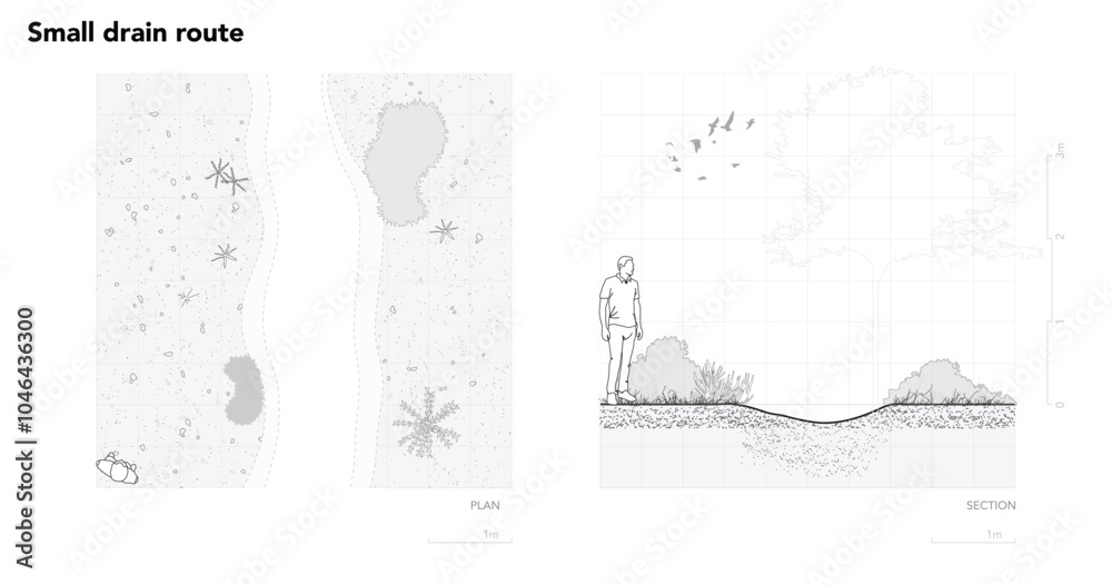 Architectural Drawings, Minimal style cad tree line drawing, Side view ...