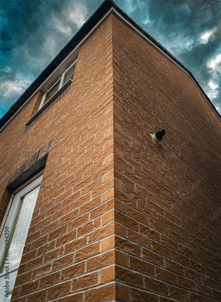 Poster When you find the perfect corner – Wall Art | UkPosters