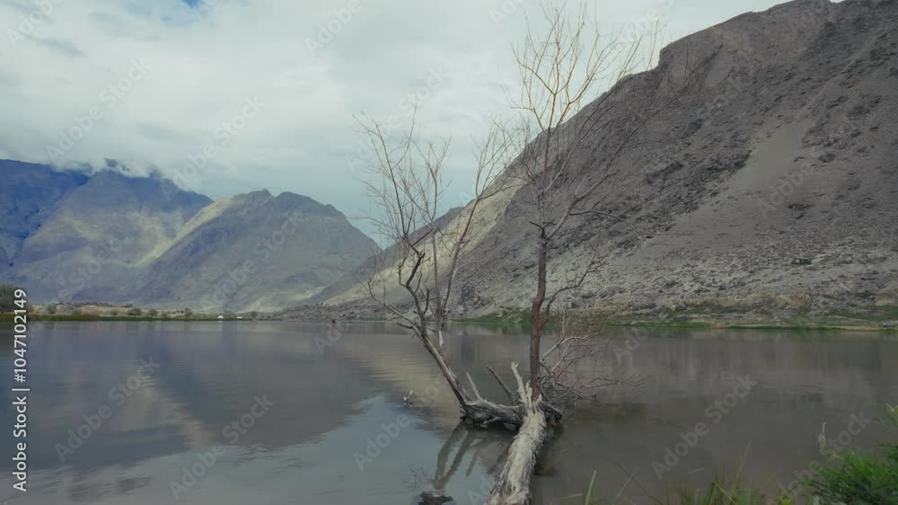 Blind Lake Shigar with a withered tree laying on its water, and a ...