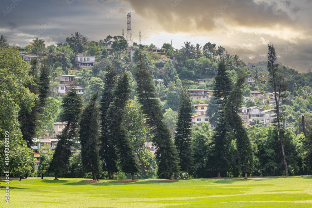 Landscape photograph in the fertile highlands in the subtropical ...