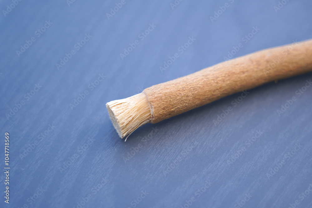 Old islamic traditional natural toothbrush Miswak or Siwak. (Salvadora ...