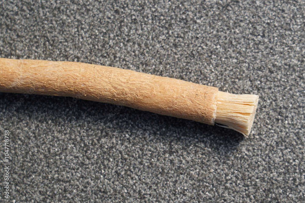 Old islamic traditional natural toothbrush Miswak or Siwak. (Salvadora ...