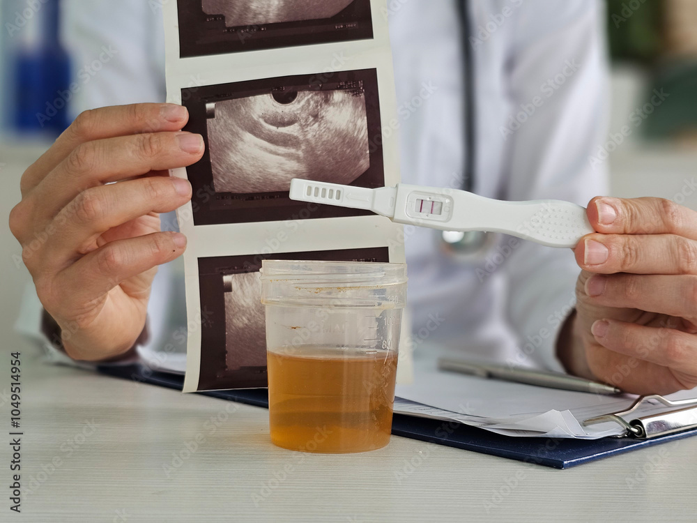 Gynecologist ultrasound images of embryo with positive pregnancy test ...