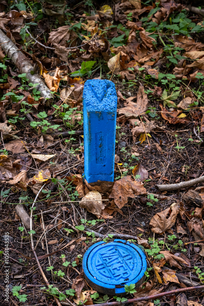 Water pipe utility access point, round iron lid, on the forest floor ...