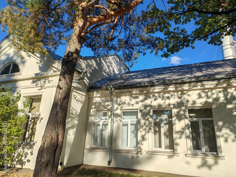 modest white building with large windows nestled among trees and ...