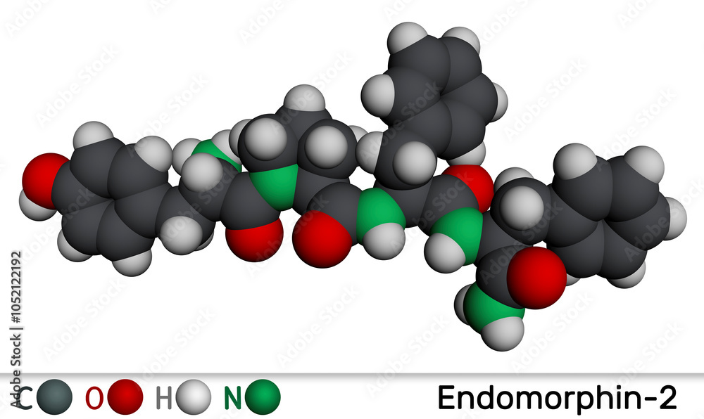 Coenzyme A, CoA, SHCoA, CoASH molecule. Essential coenzyme in fatty ...