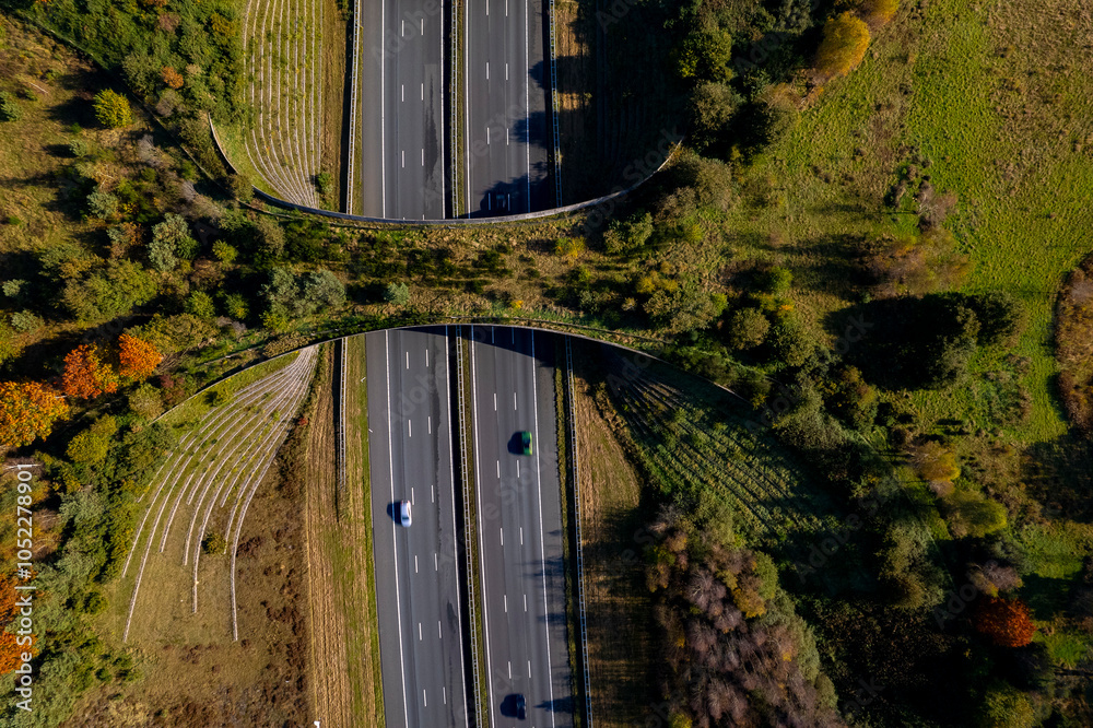 Forest aerial wildlife crossing De Borkeld forming a safe natural ...