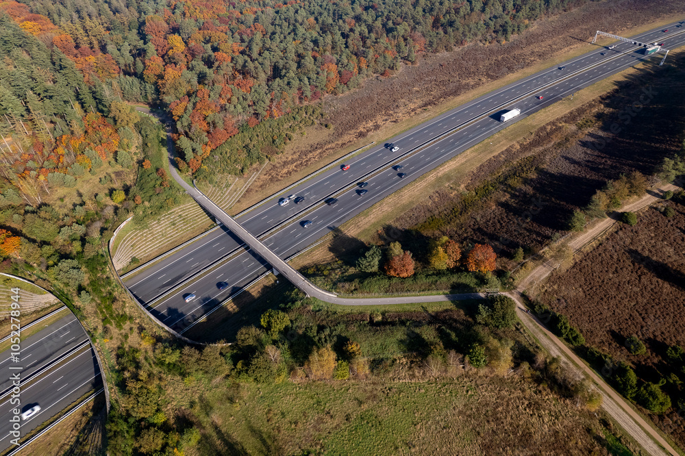 Forest aerial wildlife crossing De Borkeld forming a safe natural ...