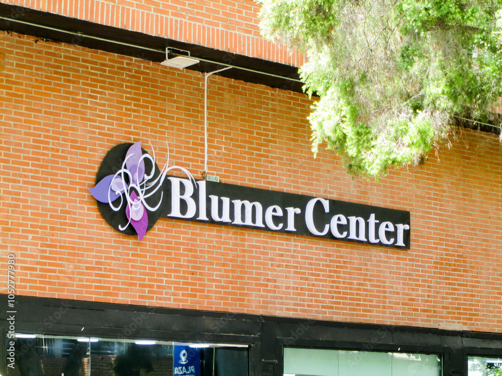 BLUMER CENTER is a company that was founded in 1995 in the city of ...