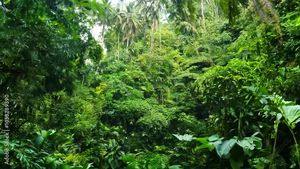 Tropical moving rainforest forest trees Green landscape mp4 jungle ...