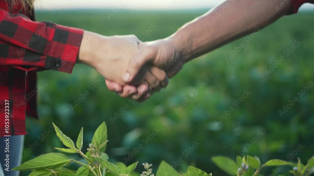Farmers handshake close up soybean field. Symbol of trust in ...