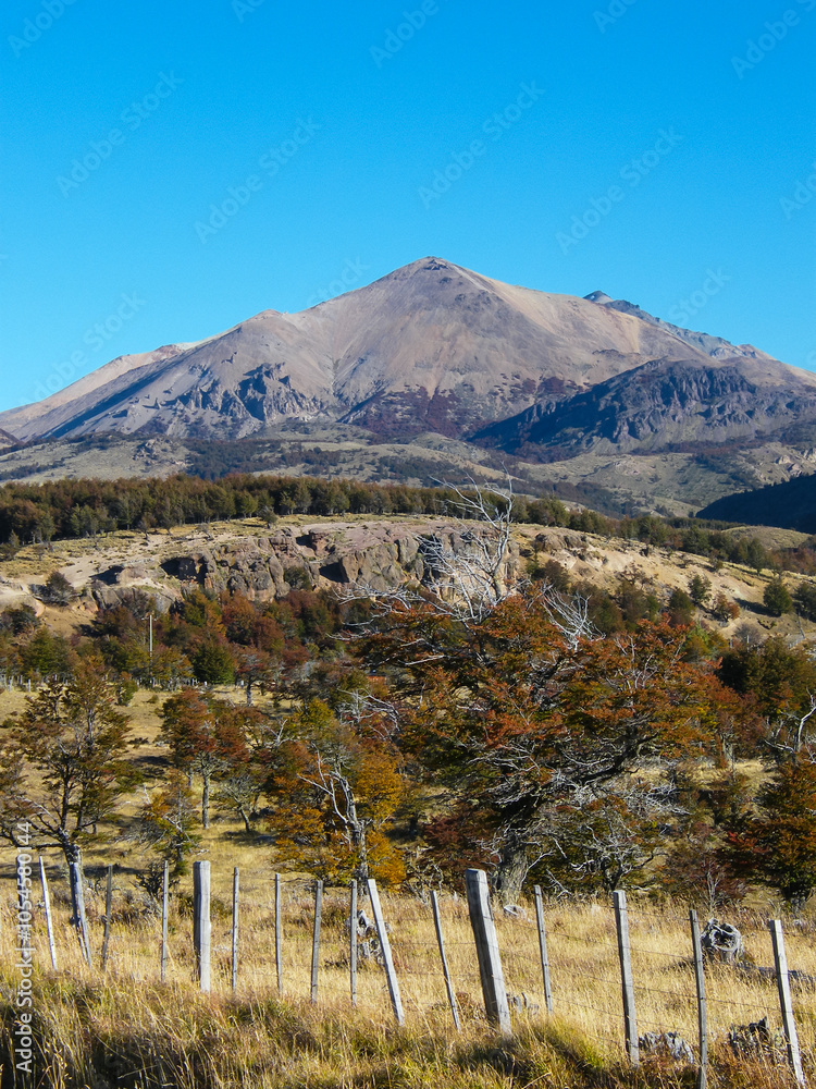 Lenga trees in autumn change from dark green to intense red colour. The ...