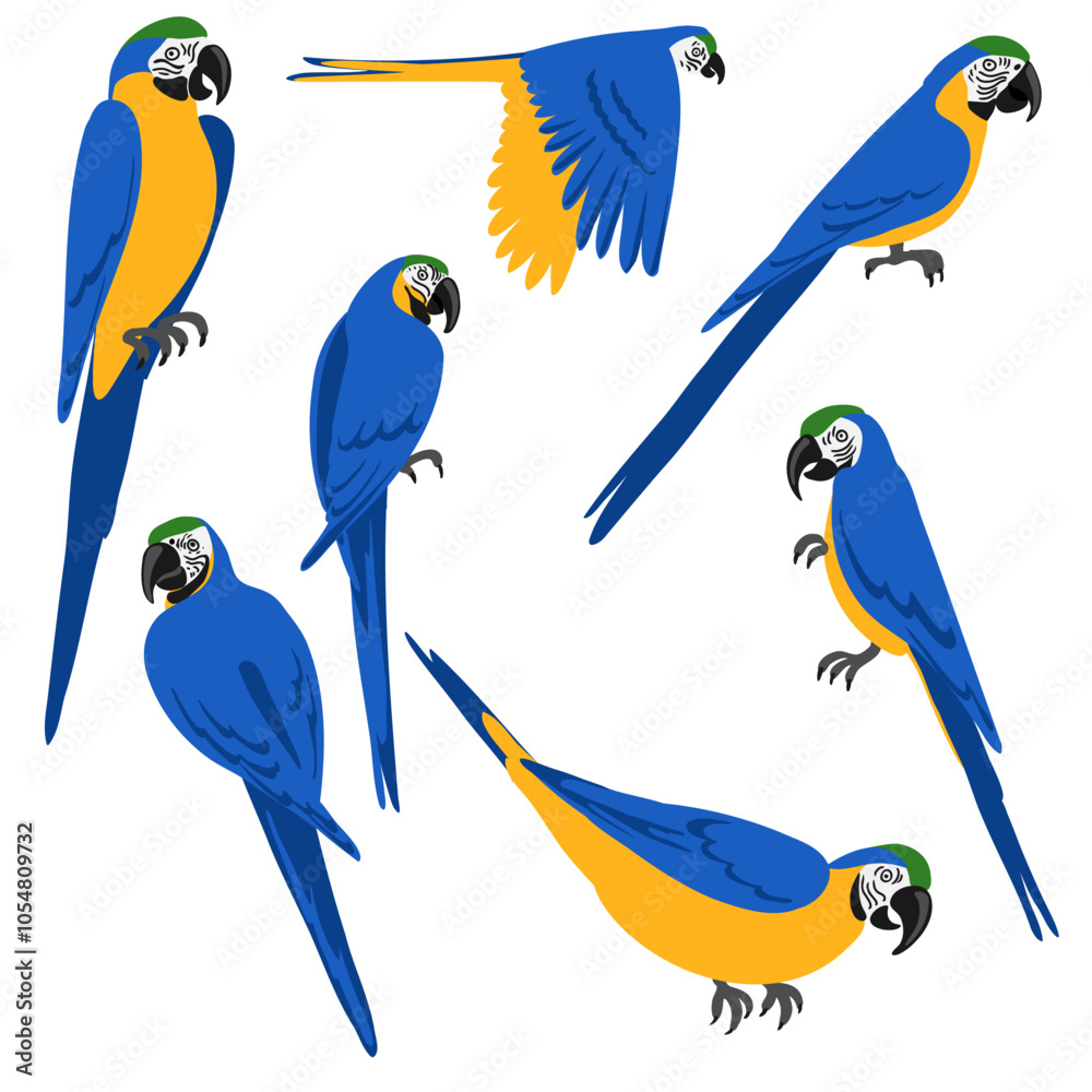 vector drawing tropical bird, blue-and-yellow macaw ,Ara ararauna ...