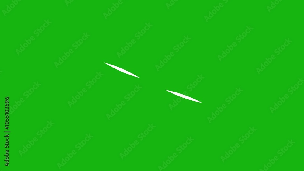 Shape line animation with Green Screen. Shape line animation Pop-Up ...