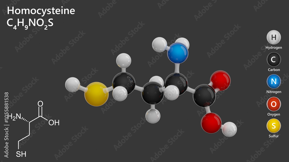 Molecule: Homocysteine. Sulfur-containing amino acid. Molecular ...