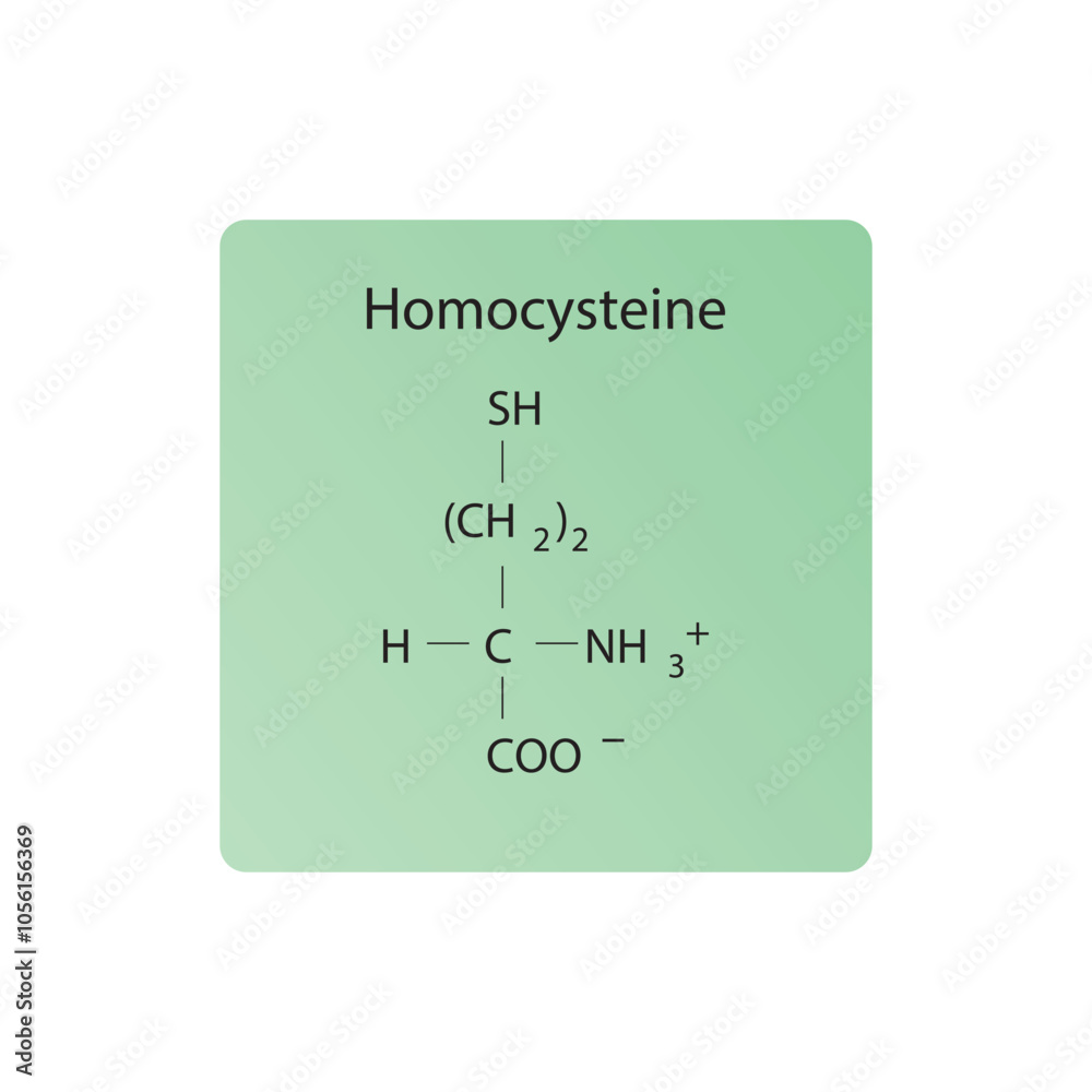Homocysteine skeletal structure diagram.amino acid compound molecule ...