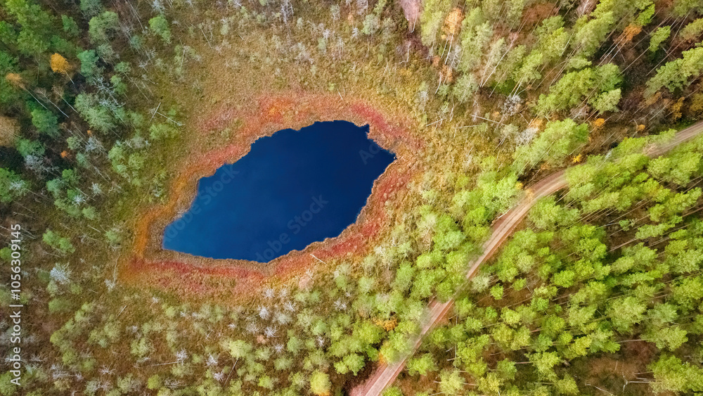 Aerial view of a lake in the forests of Lithuania, wild nature. The ...