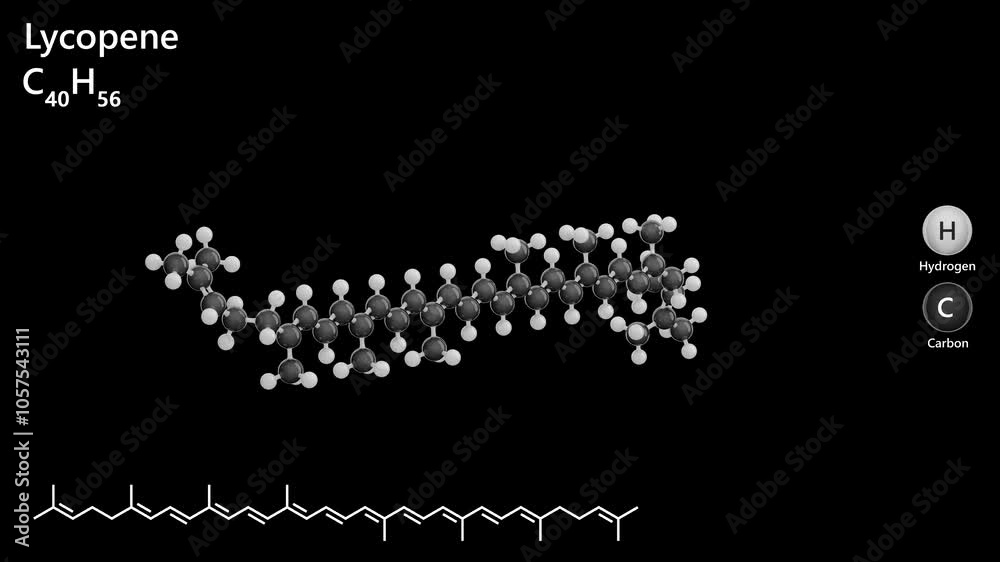 Lycopene. Red carotenoid pigment. E160d. Animated 3D model of a ...