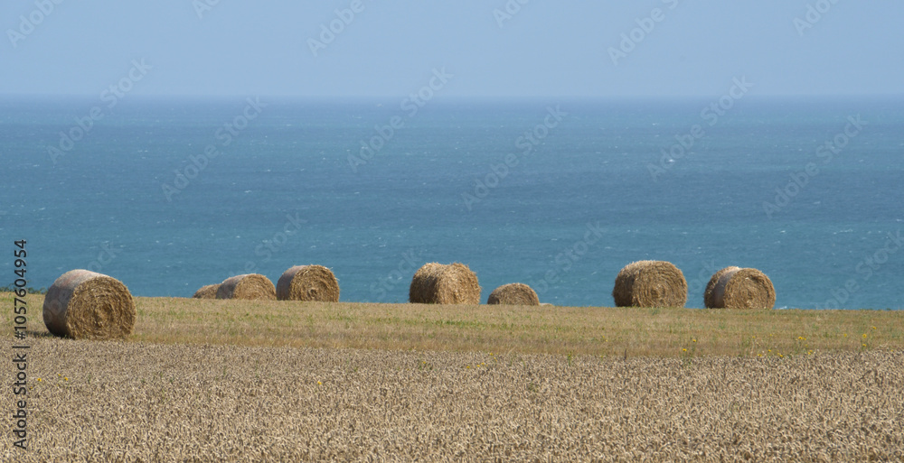 Normandy beaches are known for Operation Overlord and D-Day. Muted ...