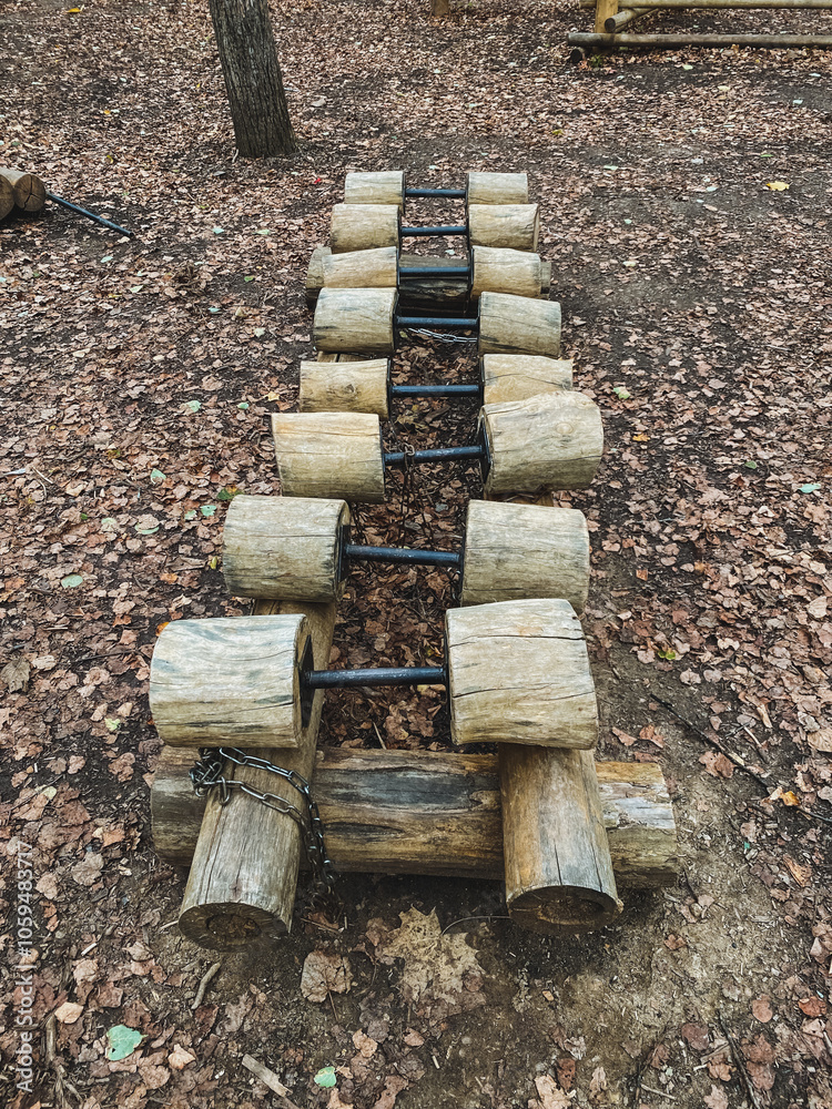 In the serene woods, a rustic wooden ladder constructed from sturdy ...