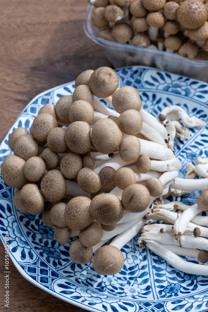 Brown shimeji edible mushrooms native to East Asia, buna-shimeji is ...