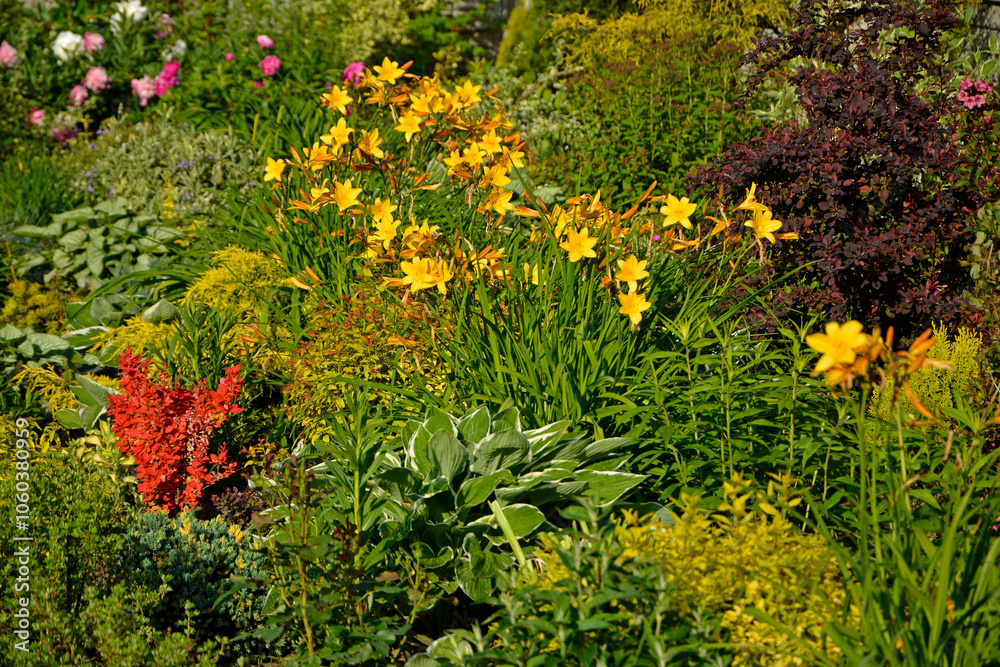piękny ogród, rabata z bylinami i krzewami w wiosennym ogrodzie ...