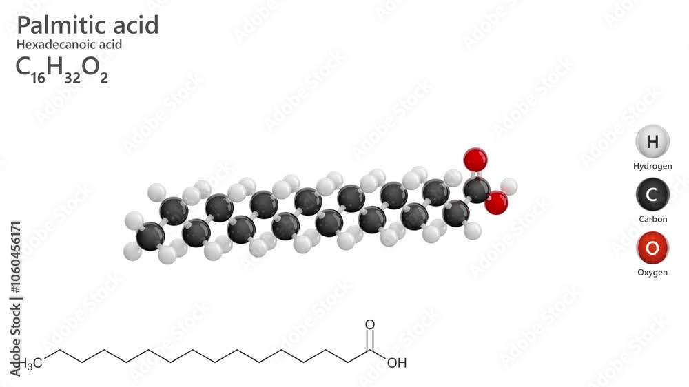 Palmitic acid or hexadecanoic acid. Palm oil. Animated 3D model of a ...