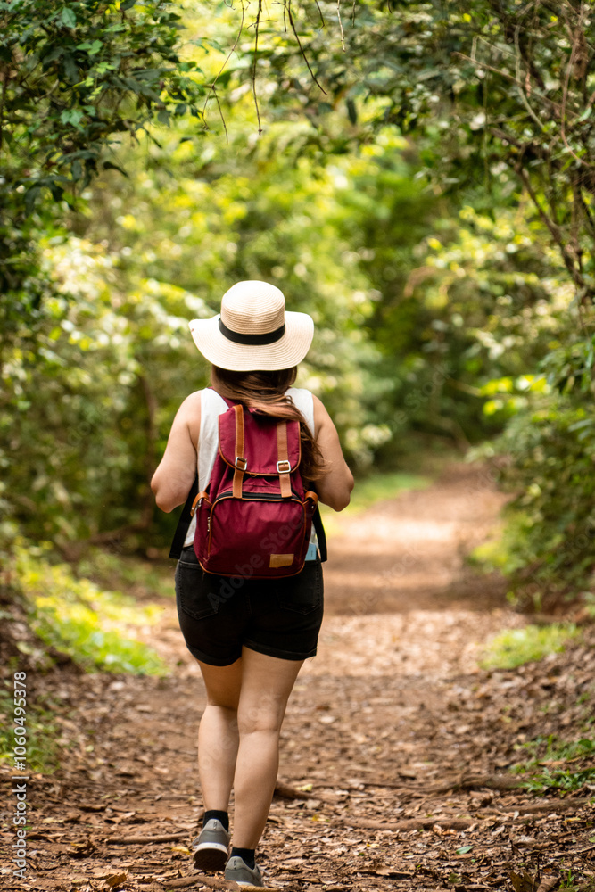 Viajero descubriendo la densa jungla del Parque Nacional Iguazú, en el ...